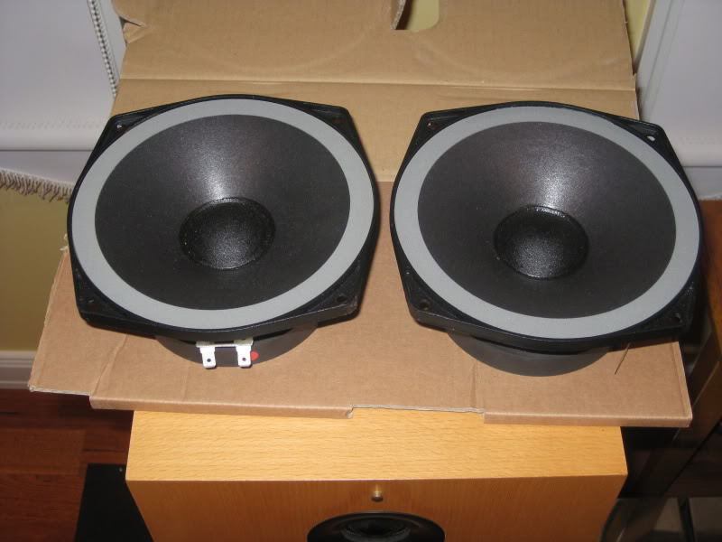 SOLD: Raven R1 & PHL based 4 way speaker project - Stereo, Home Cinema ...