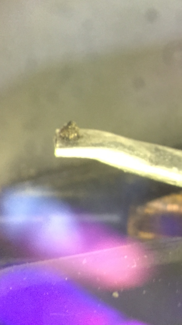 Stylus cleaning under the microscope - Turntables, Record Players ...