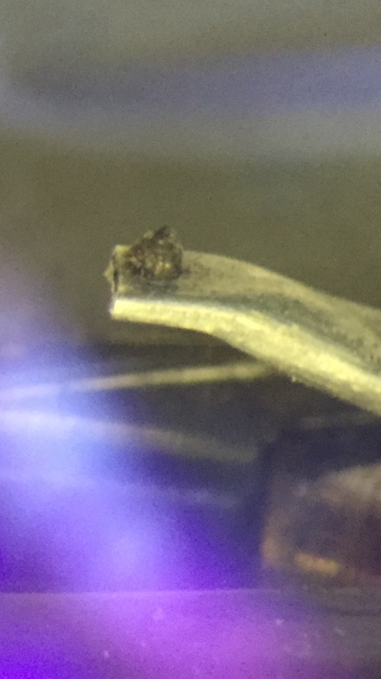 Stylus cleaning under the microscope - Turntables, Record Players ...