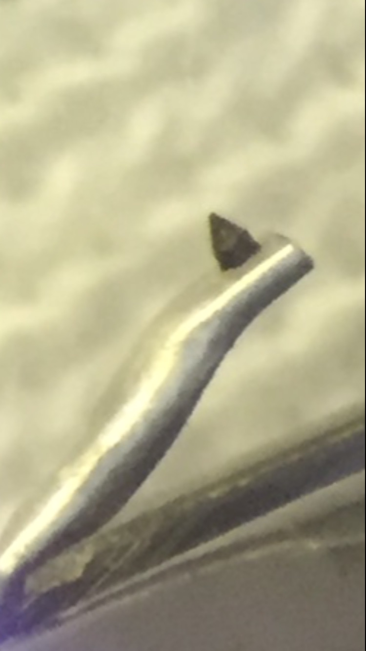Stylus cleaning under the microscope - Turntables, Record Players ...