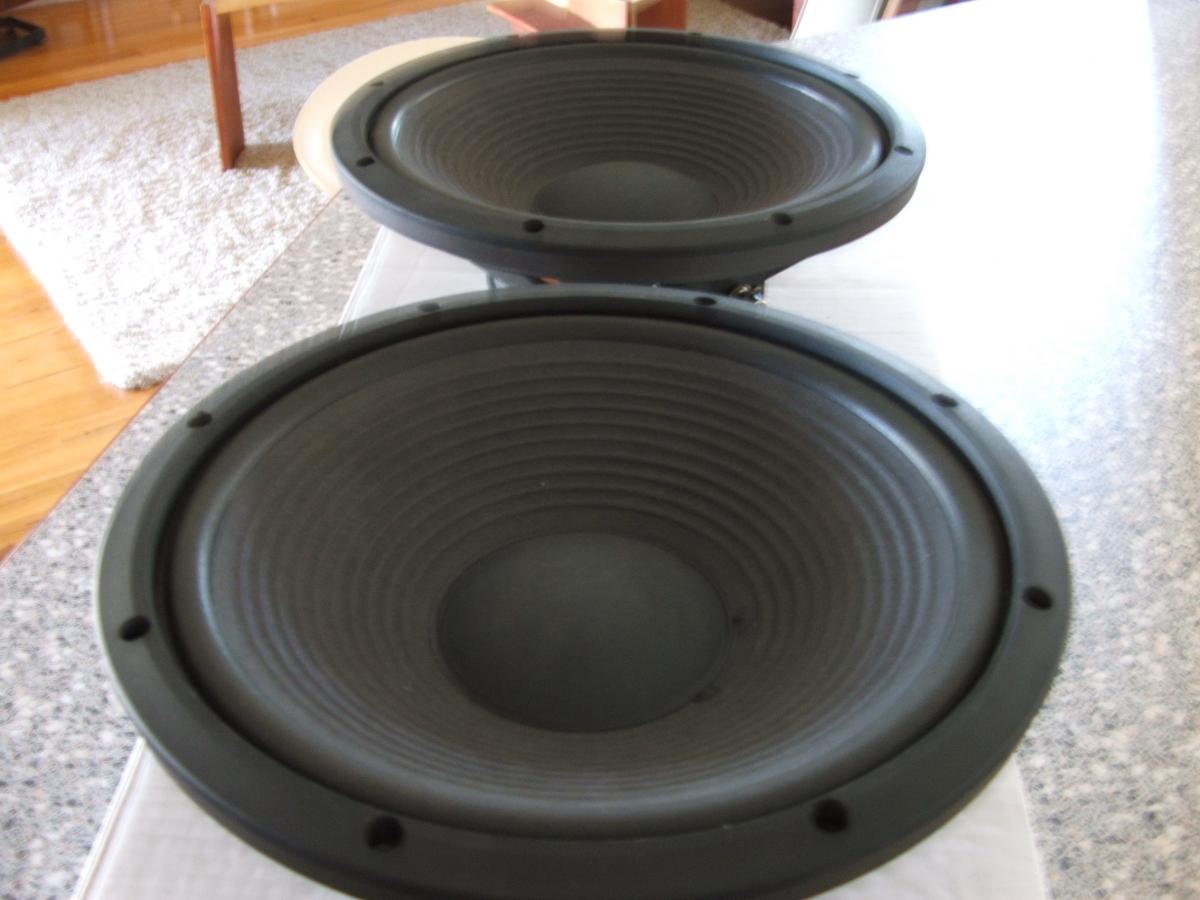Fostex FW305 12 inch medium/high sensitivity woofers - Stereo, Home ...