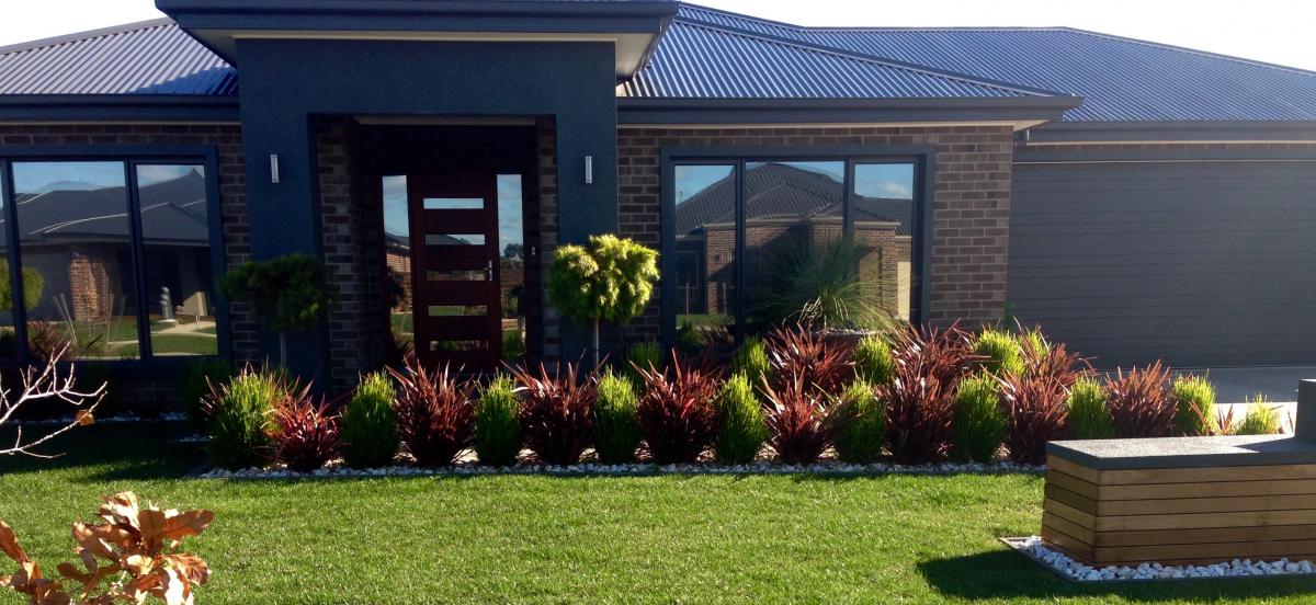 Green thumb advice please. (Native plants) - General Chill Out Room ...