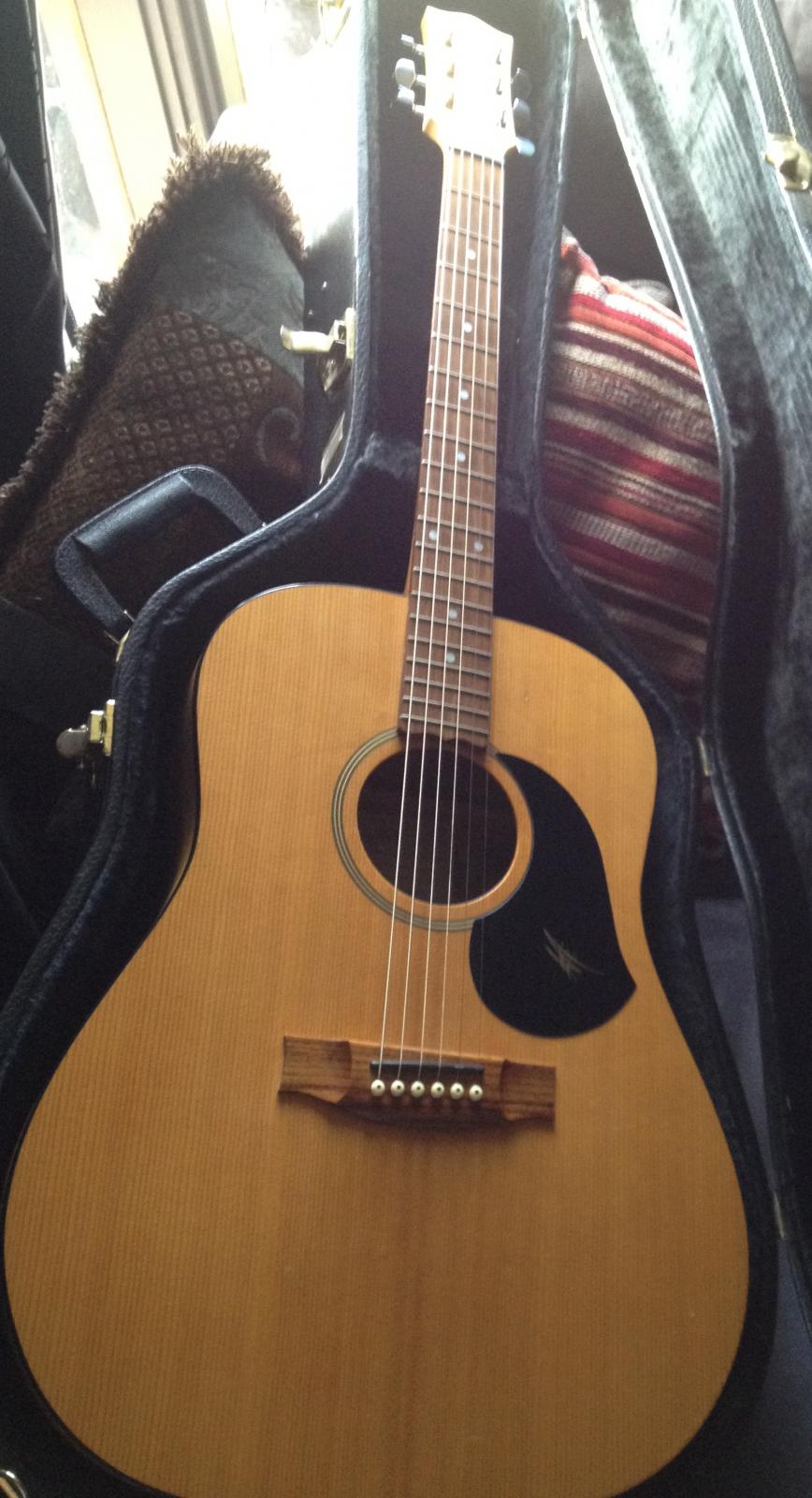 FS Maton M225 Dreadnought Acoustic Guitar w/ hard case - Stereo, Home ...