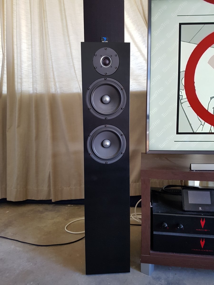 FS: Troels Gravesen SEAS CNO-25 Speakers + Naquadria Amp - Stereo, Home ...