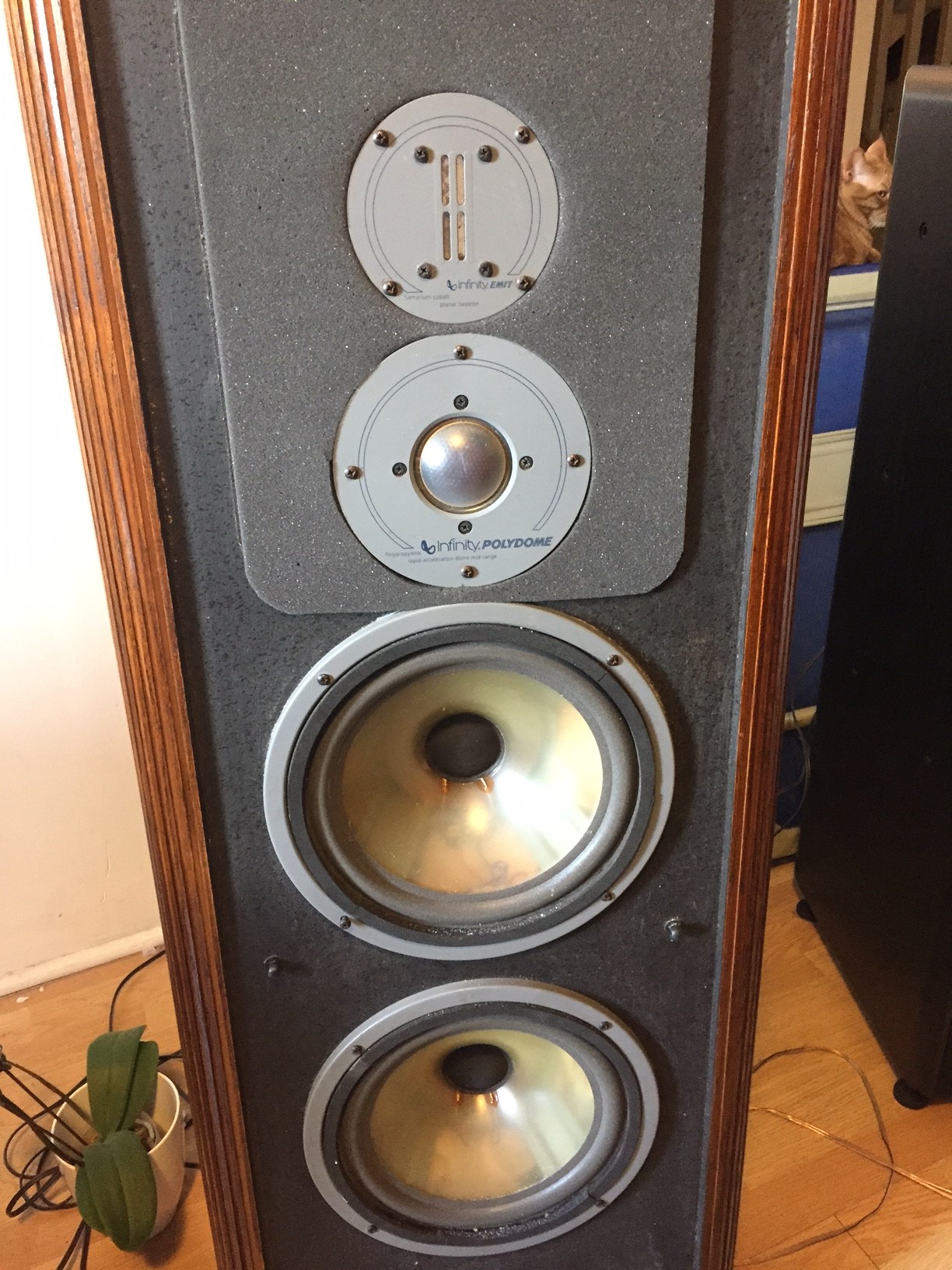 FS: Infinity RSIIIB speakers |﻿ Stereo, Home Cinema, Headphones Components