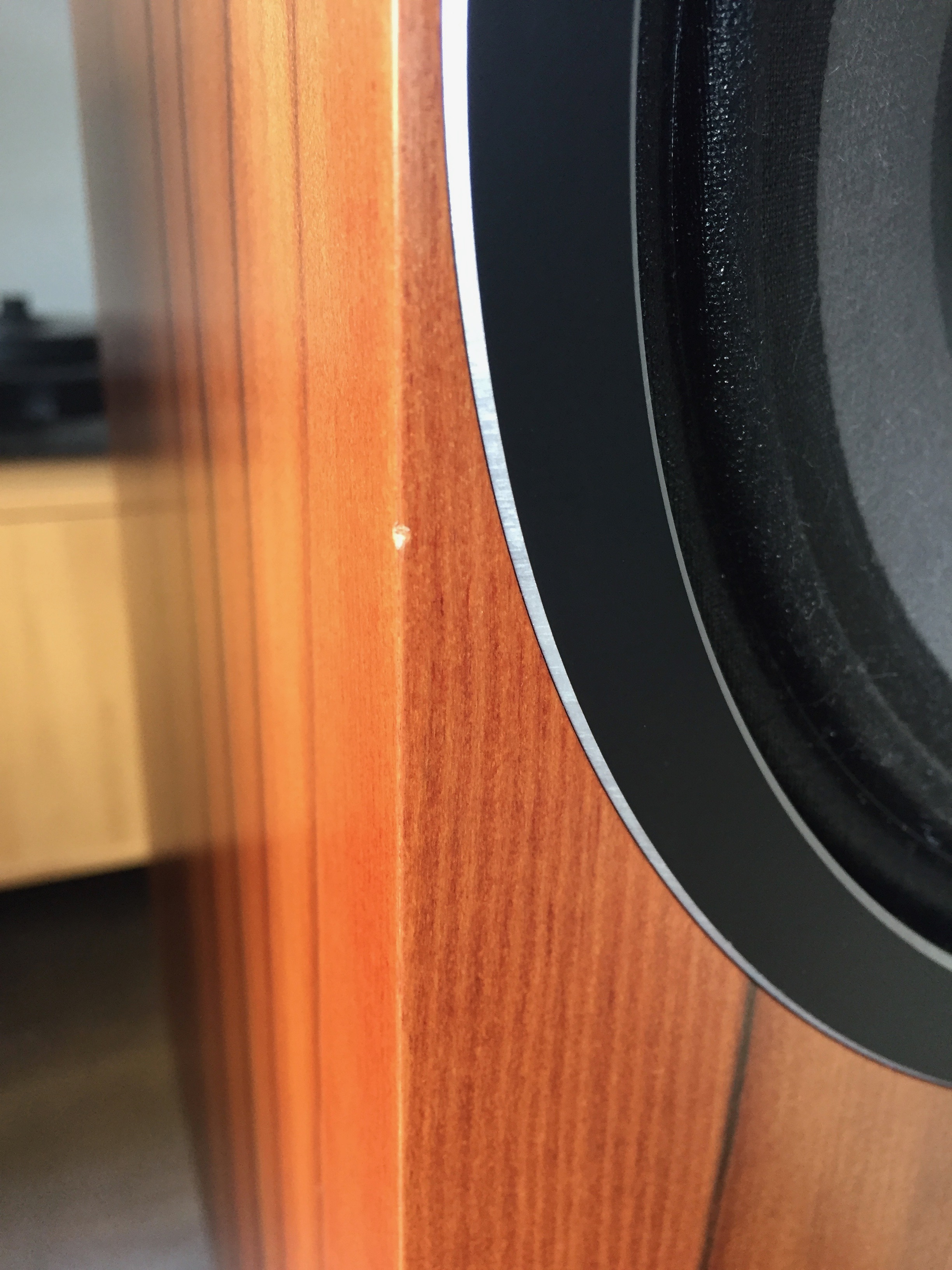 FS: WLM Diva Monitors - Stereo, Home Cinema, Headphones Components ...