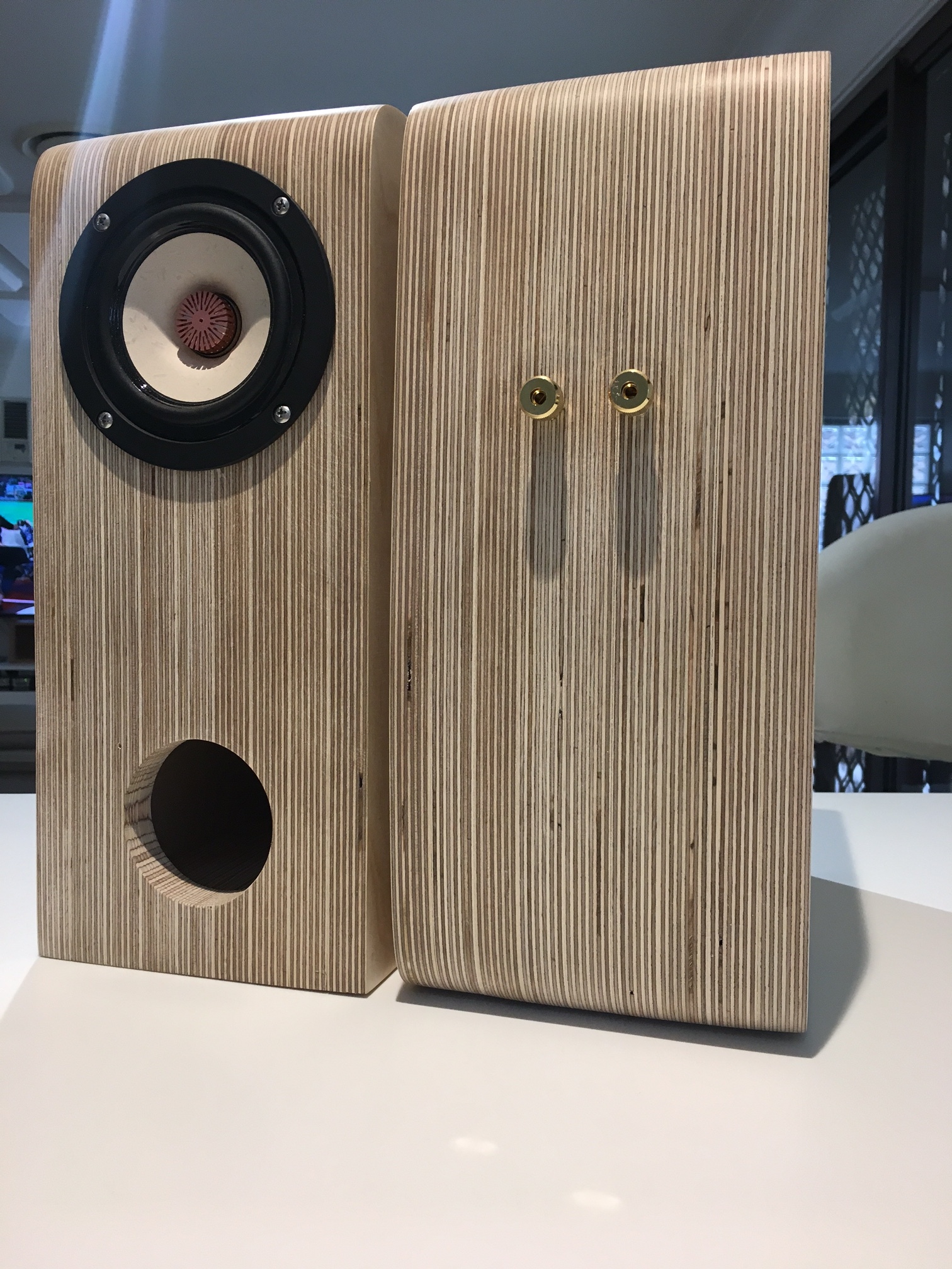 FS: DIY Bookshelf Stacked Ply Speakers Tang Band - Stereo, Home Cinema ...