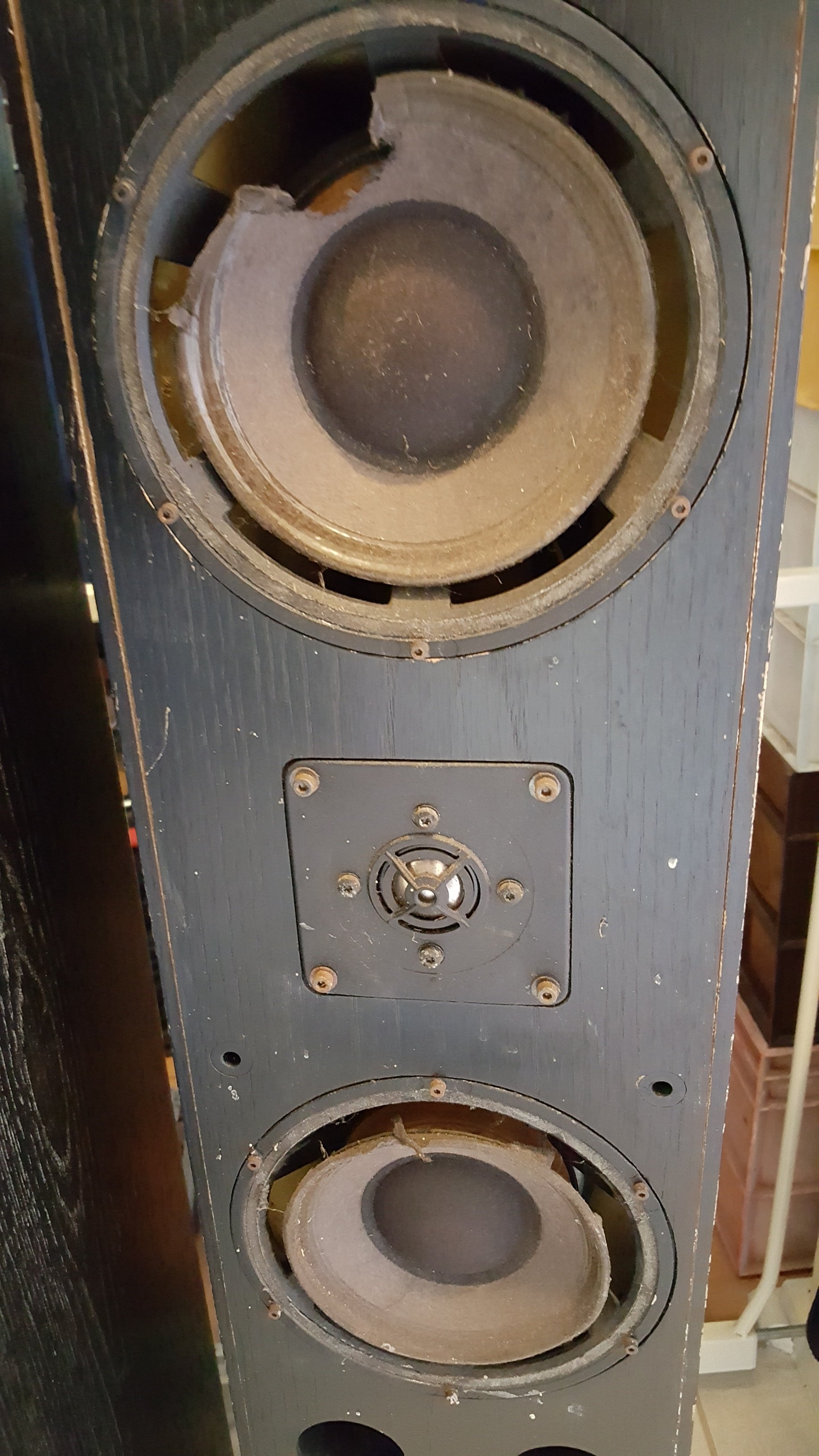 FS: Proac Super Tower floorstanding speakers - Stereo, Home Cinema ...