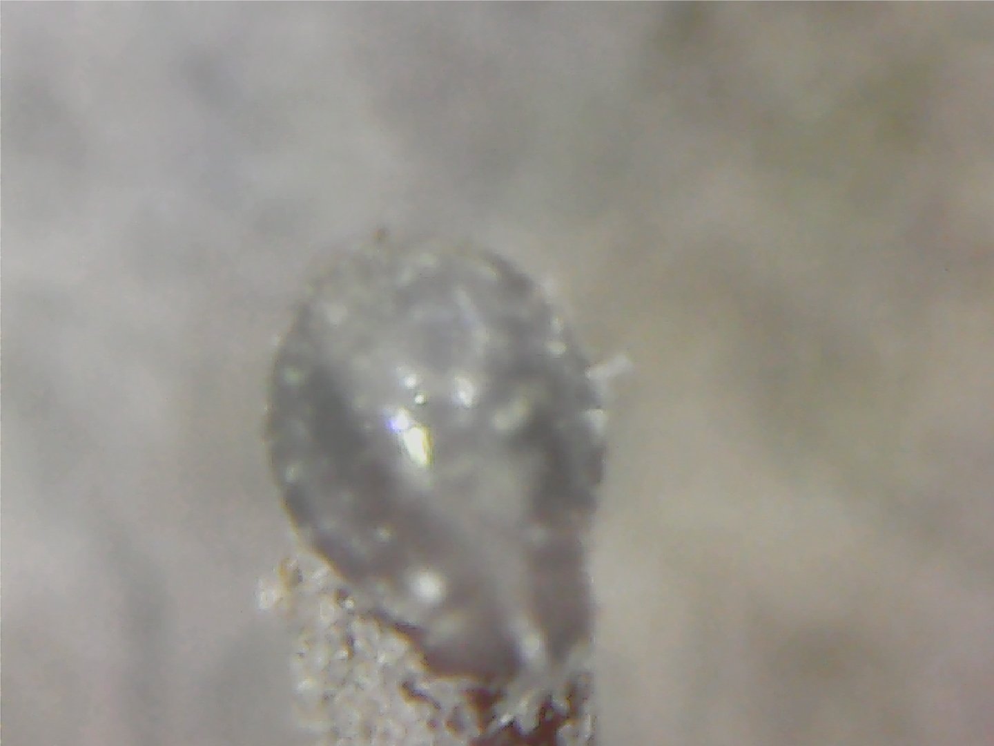 Digital Microscope for your stylus - Page 3 - Turntables, Record ...