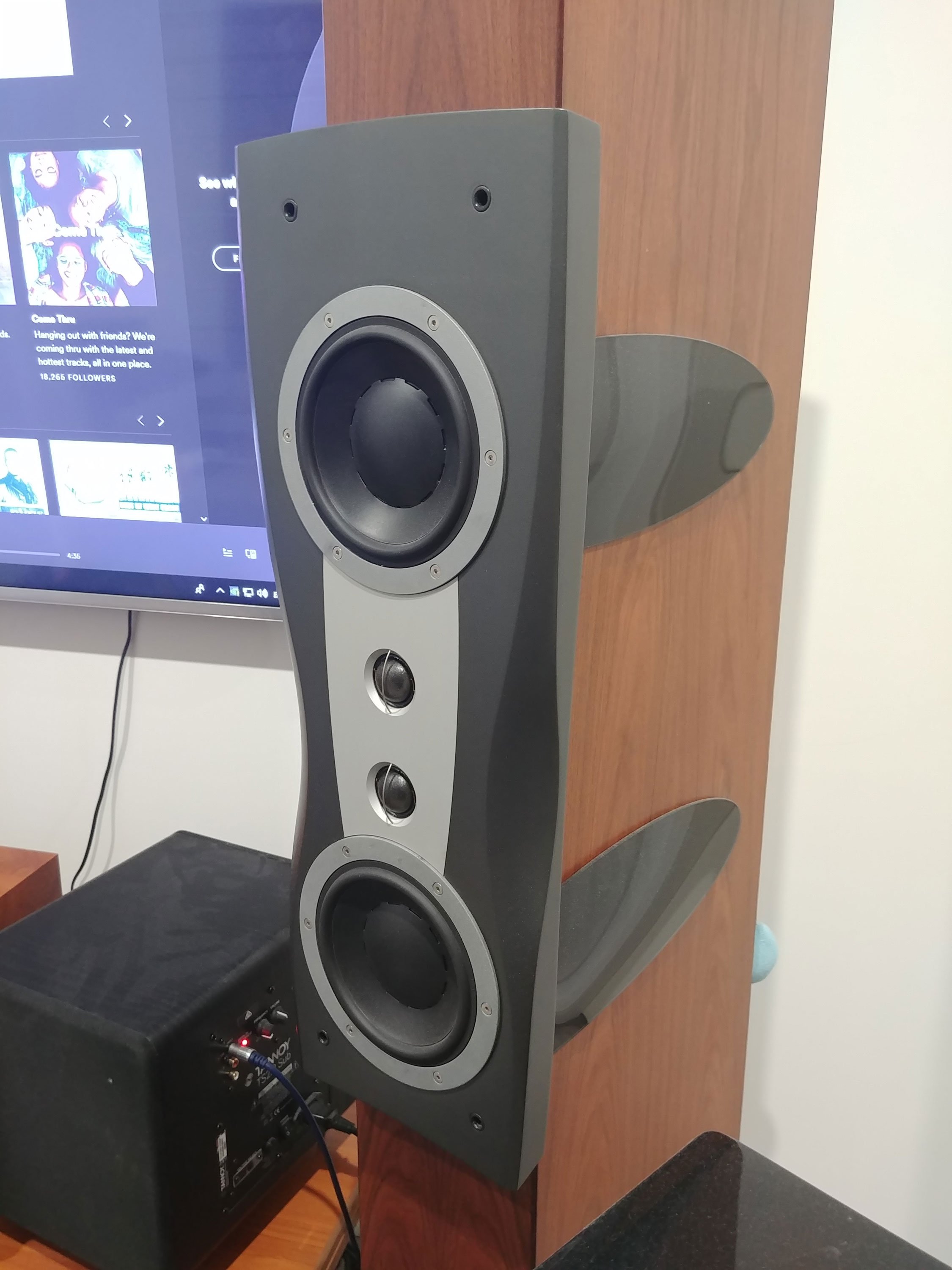 Dynaudio C2 - Rosewood - Stereo, Home Cinema, Headphones Components ...