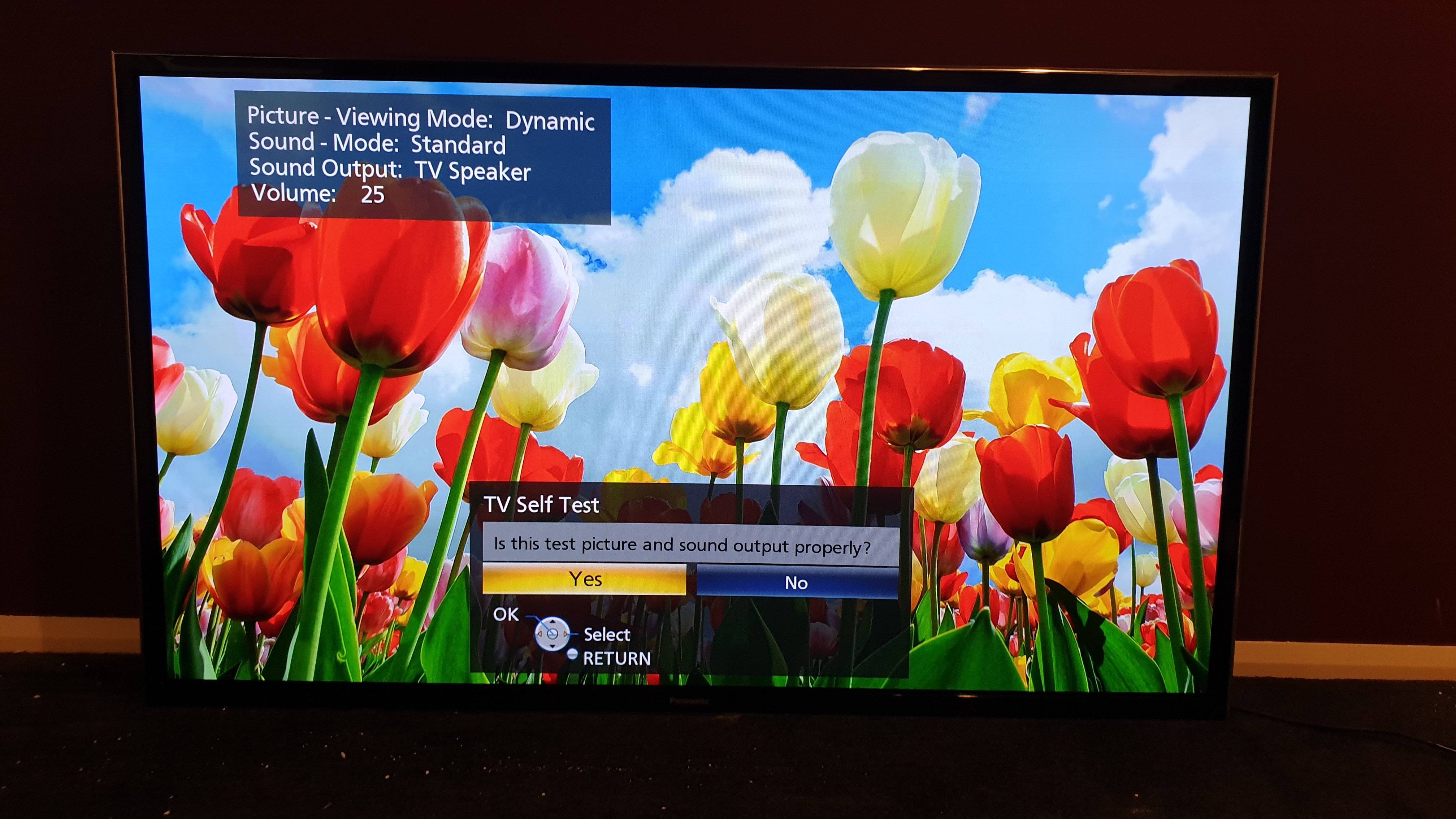 FS: Panasonic ST60 60" Plasma TV P60ST60A - Hi-Fi and Cinema Cables ...