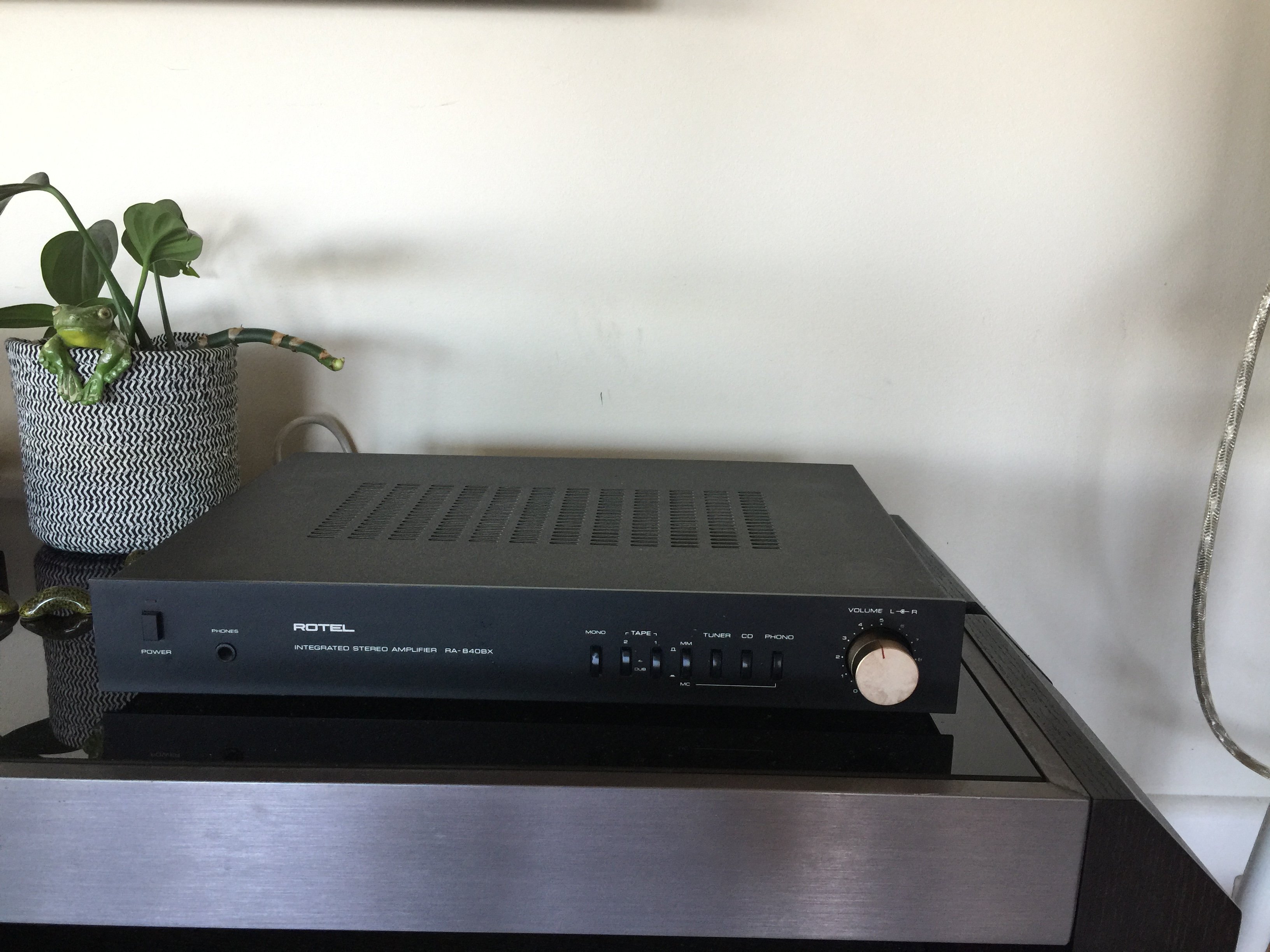 Price drop Rotel 840BX Integrated Amplifier/Sonus Faber Domus Speakers ...