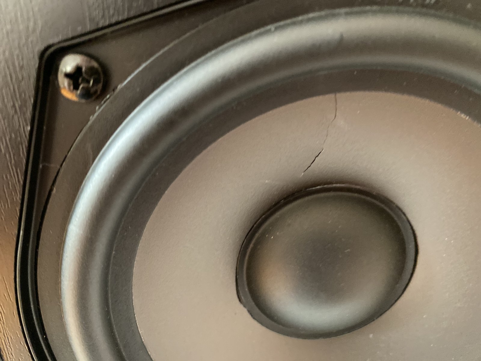 Free: Polk Audio R15 Bookshelf Speakers |﻿ Pay it Forward | Giveaways