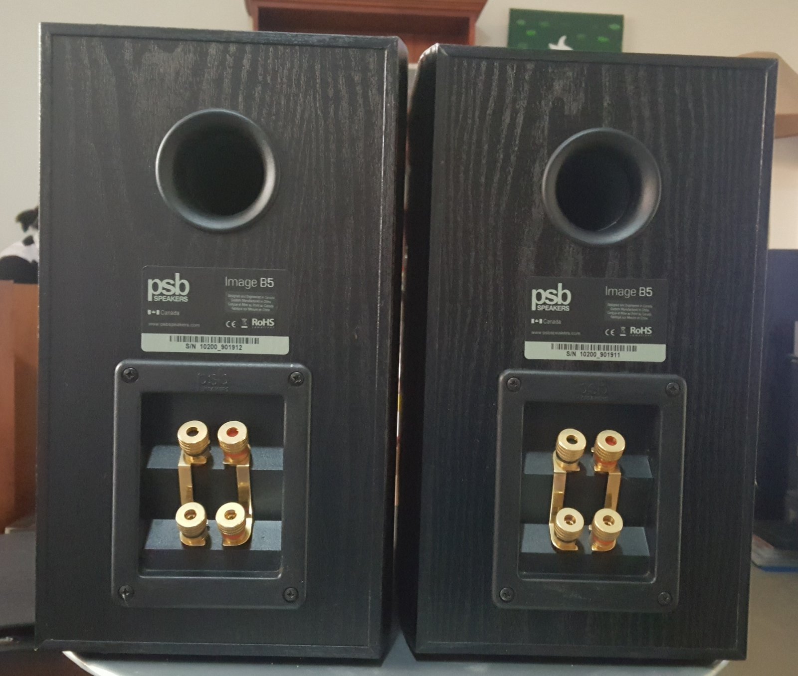 FS: PSB Speakers Image B5 Bookshelf Speaker (Black Ash) - Stereo, Home ...