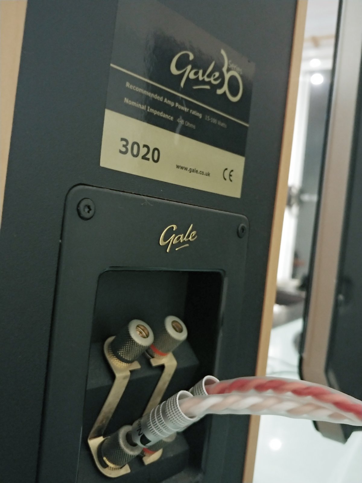 FS: Gale 3020 Bookshelf Speakers - Stereo, Home Cinema, Headphones ...