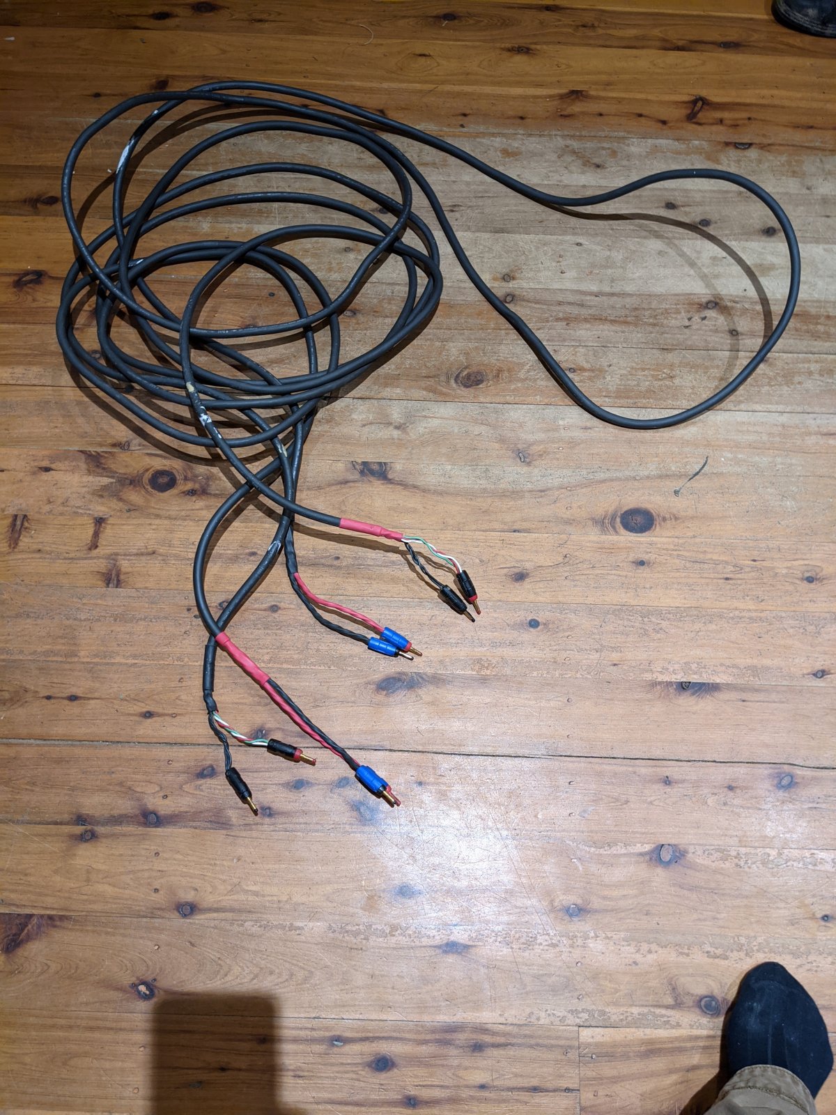 Price Drop FS: Audioquest Type 6 speaker cable + Eichmann connectors ...