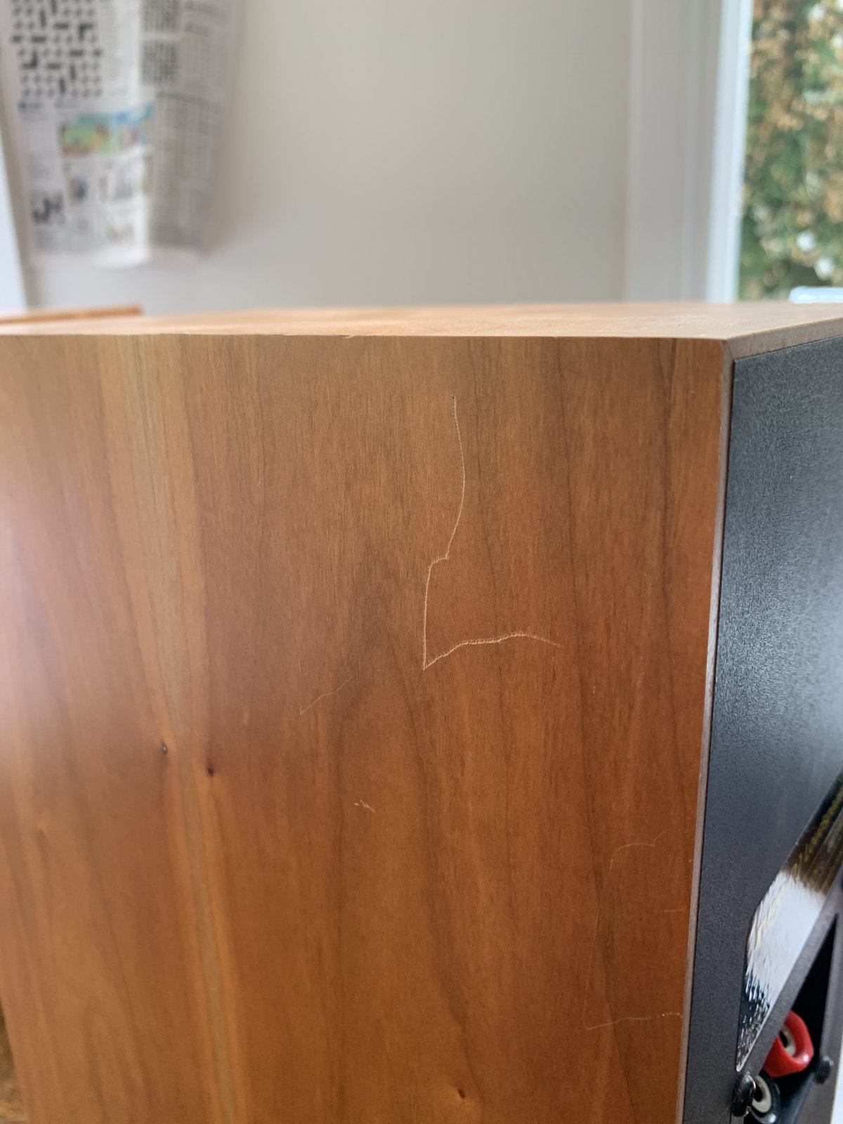 FS: Rega R1 bookshelf speakers (England) - Stereo, Home Cinema ...