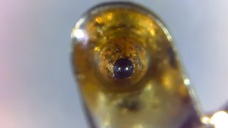 Tracking stylus wear with a microscope - Turntables, Record Players ...