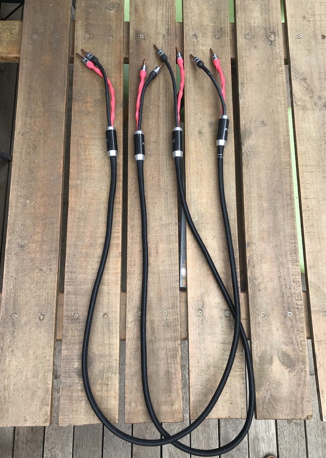 FS: Robertson Audio Pure Silver & 99.99% OF Copper Combination Speaker ...