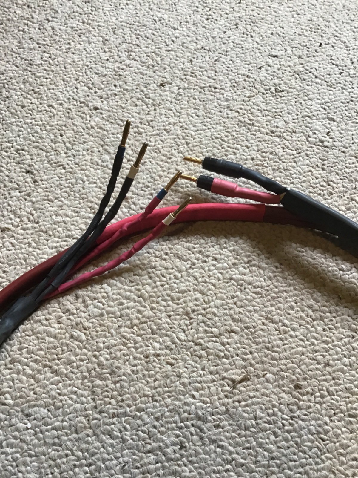FS: AUDIOQUEST BEDROCK BI-WIRE SPEAKER CABLE (3 mtr Pair) |﻿ Hi-Fi and ...