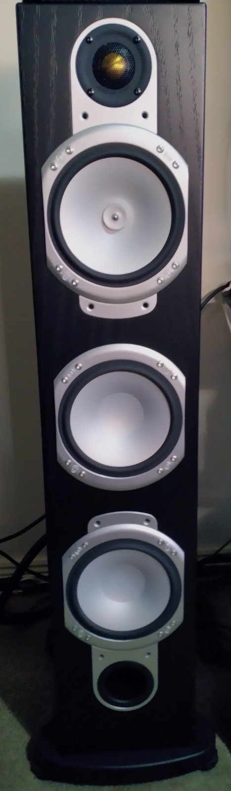 SOLD: FS: Monitor Audio Silver-RS8 (Black) - Stereo, Home Cinema ...