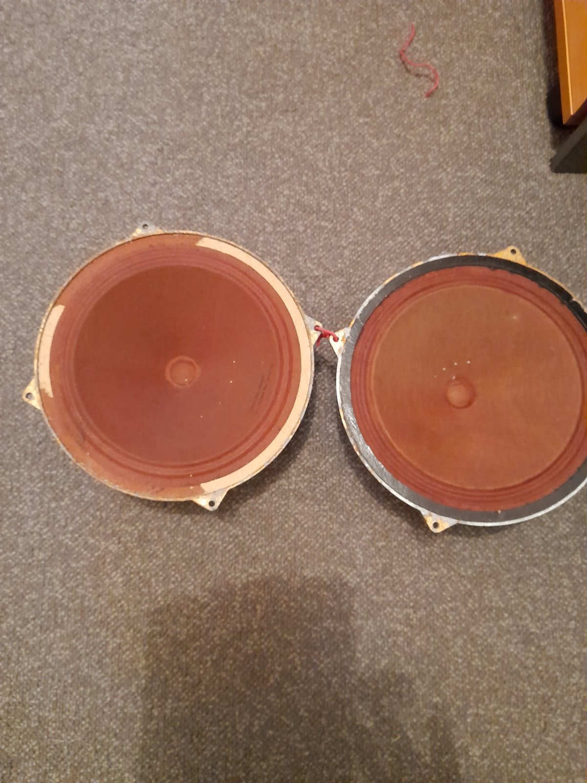 Stentorian speakers - Speakers, Soundbars and Subwoofers - StereoNET