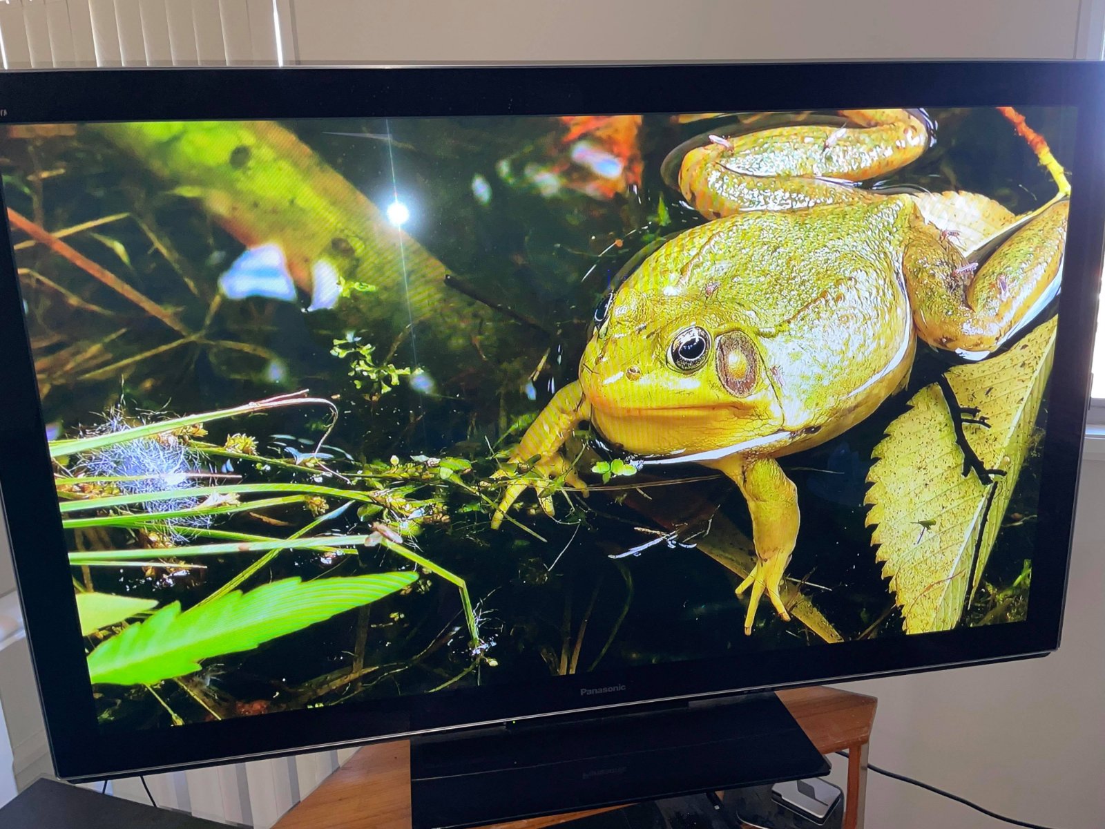 Panasonic 65" Plasma TV VIERA TH-P65VT30A |﻿ Stereo, Home Cinema ...