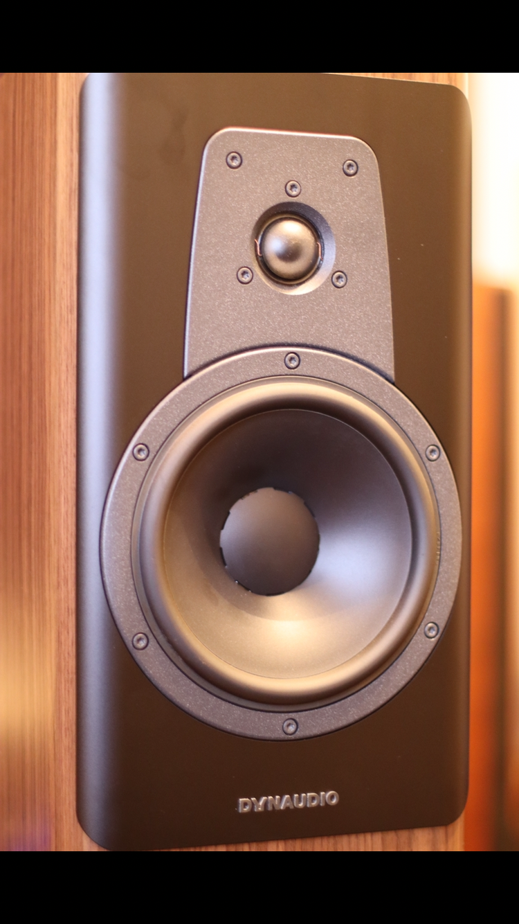 Dynaudio C20 Bookshelf with Stands - Stereo, Home Cinema, Headphones ...