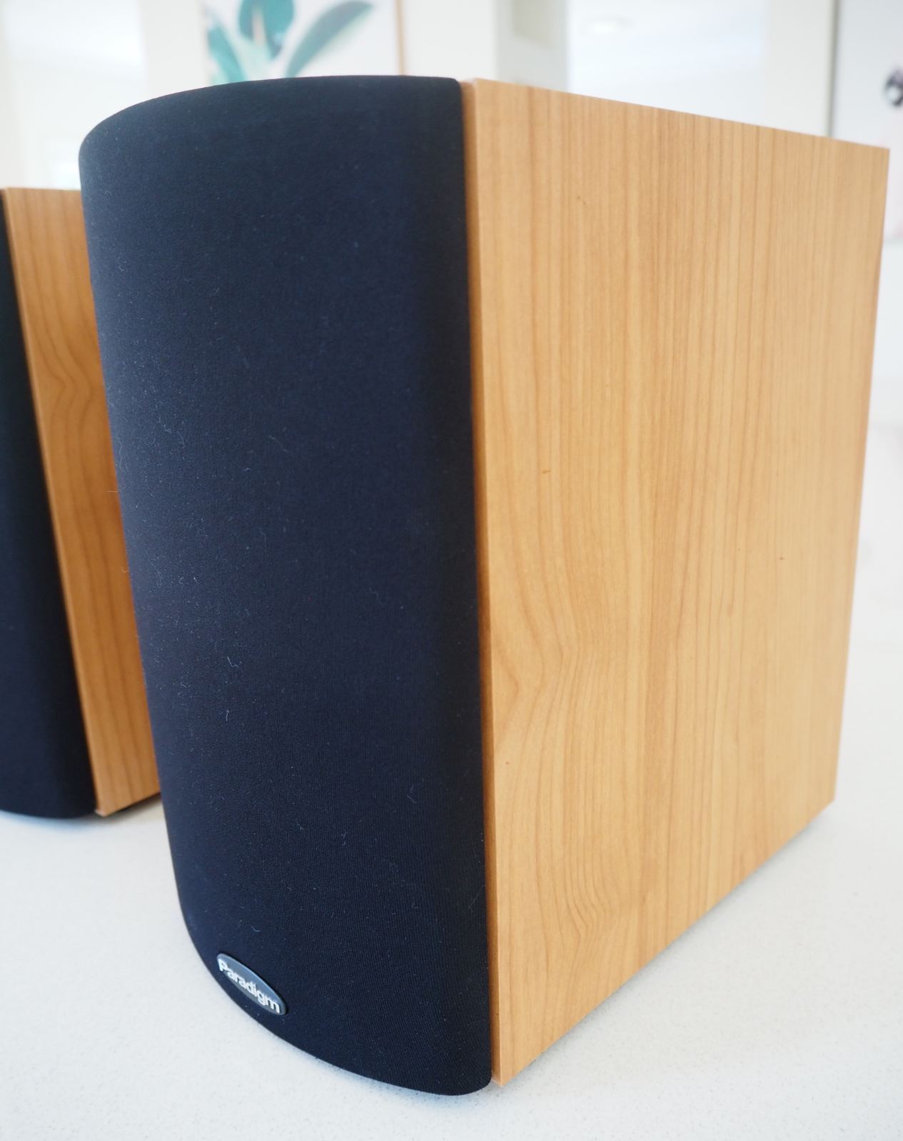 Paradigm Monitor Atoms v5 - Stereo, Home Cinema, Headphones Components ...