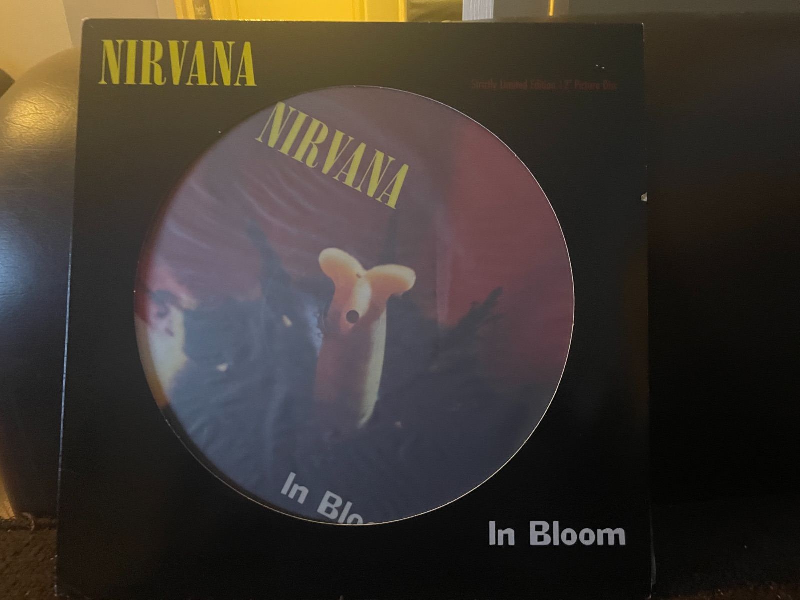 Nirvana - In Bloom - Vinyl, CD, and Blu-ray - StereoNET