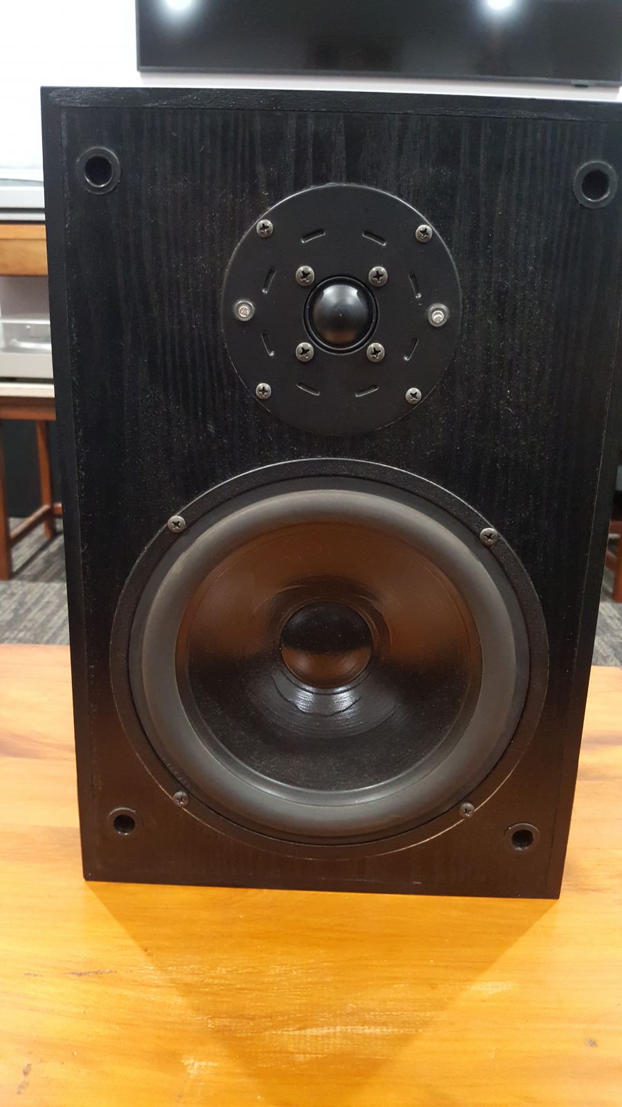 Interdyn P-1 Speakers |﻿ Speakers, Soundbars and Subwoofers