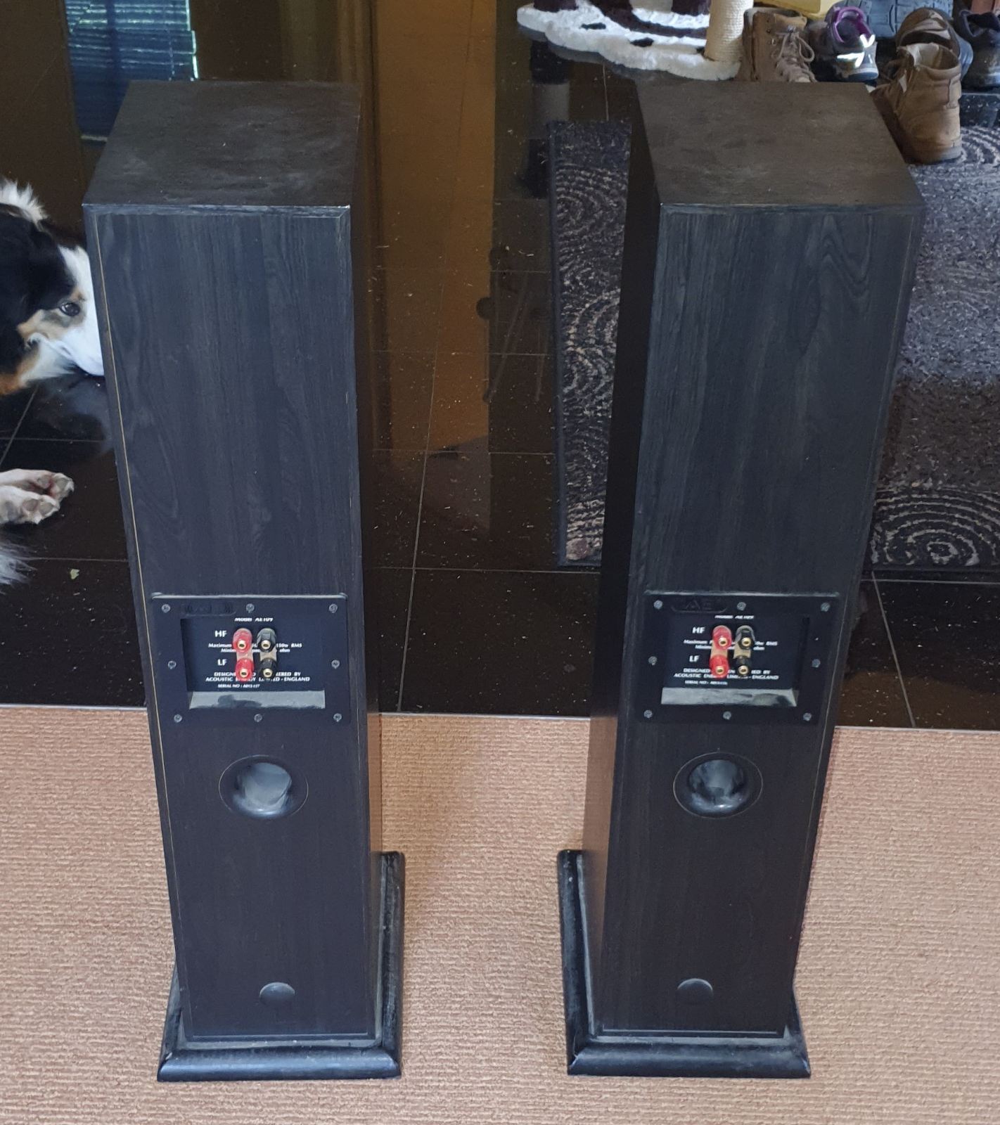 FS: Original/Classic Acoustic Energy AE109 speakers |﻿ Stereo, Home ...