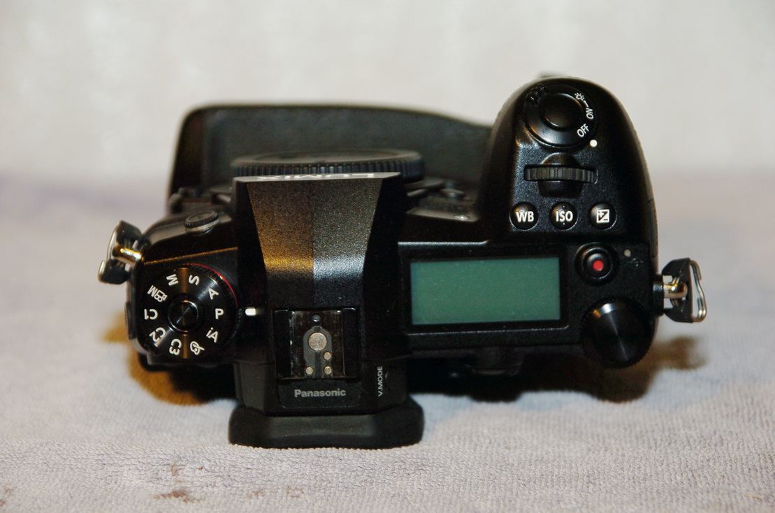 FS: Panasonic LUMIX DC-G9GN G9 Mirrorless Camera + Battery Grip ...