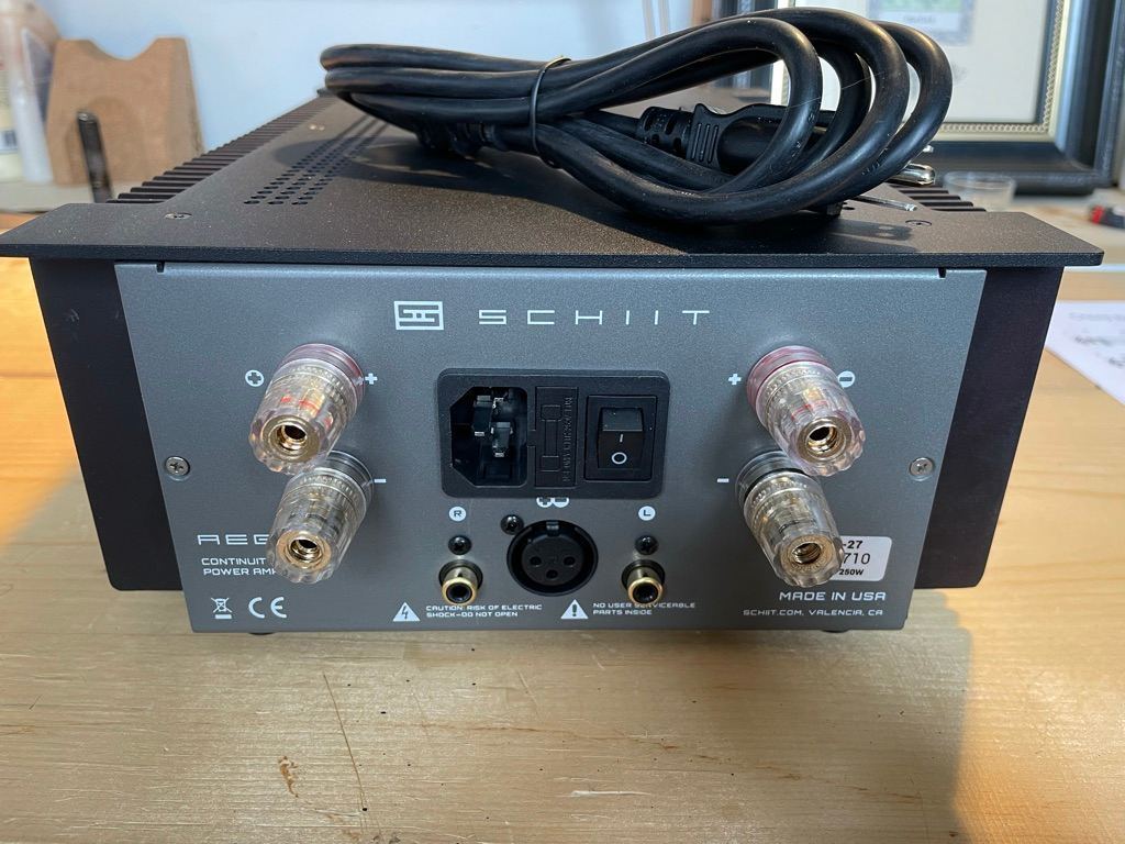 FS: Schiit Aegir mint condition - Stereo, Home Cinema, Headphones ...