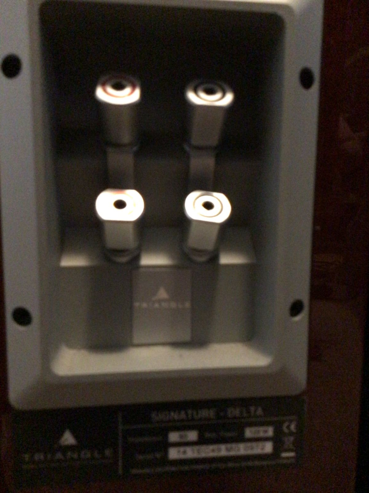 Triangle Delta Signature Floorstanding Loudspeakers - Stereo, Home ...