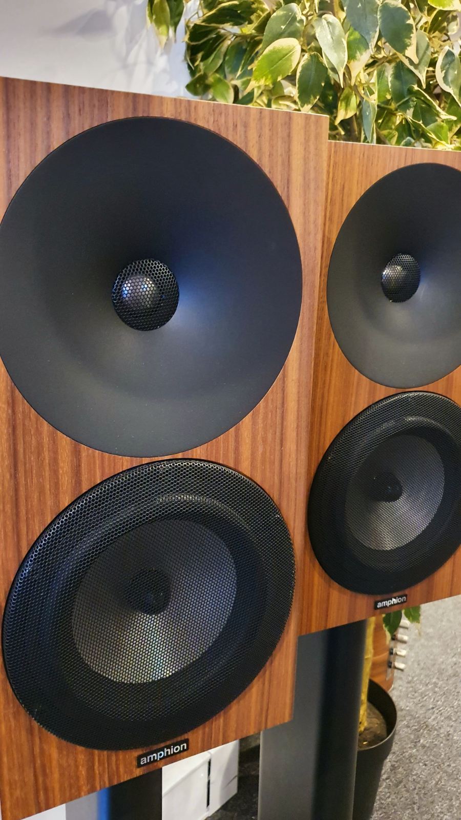 Amphion Argon 3s PRICE DROP (Walnut finish) - ex-demo - Commercial ...