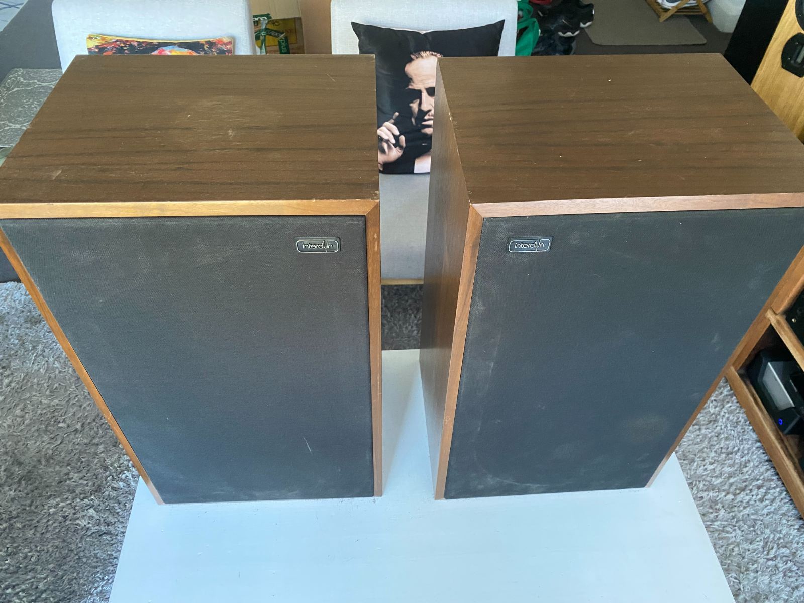 Interdyn P33 Speakers ** Needs repair** ** Pending Payment and Pickup ...