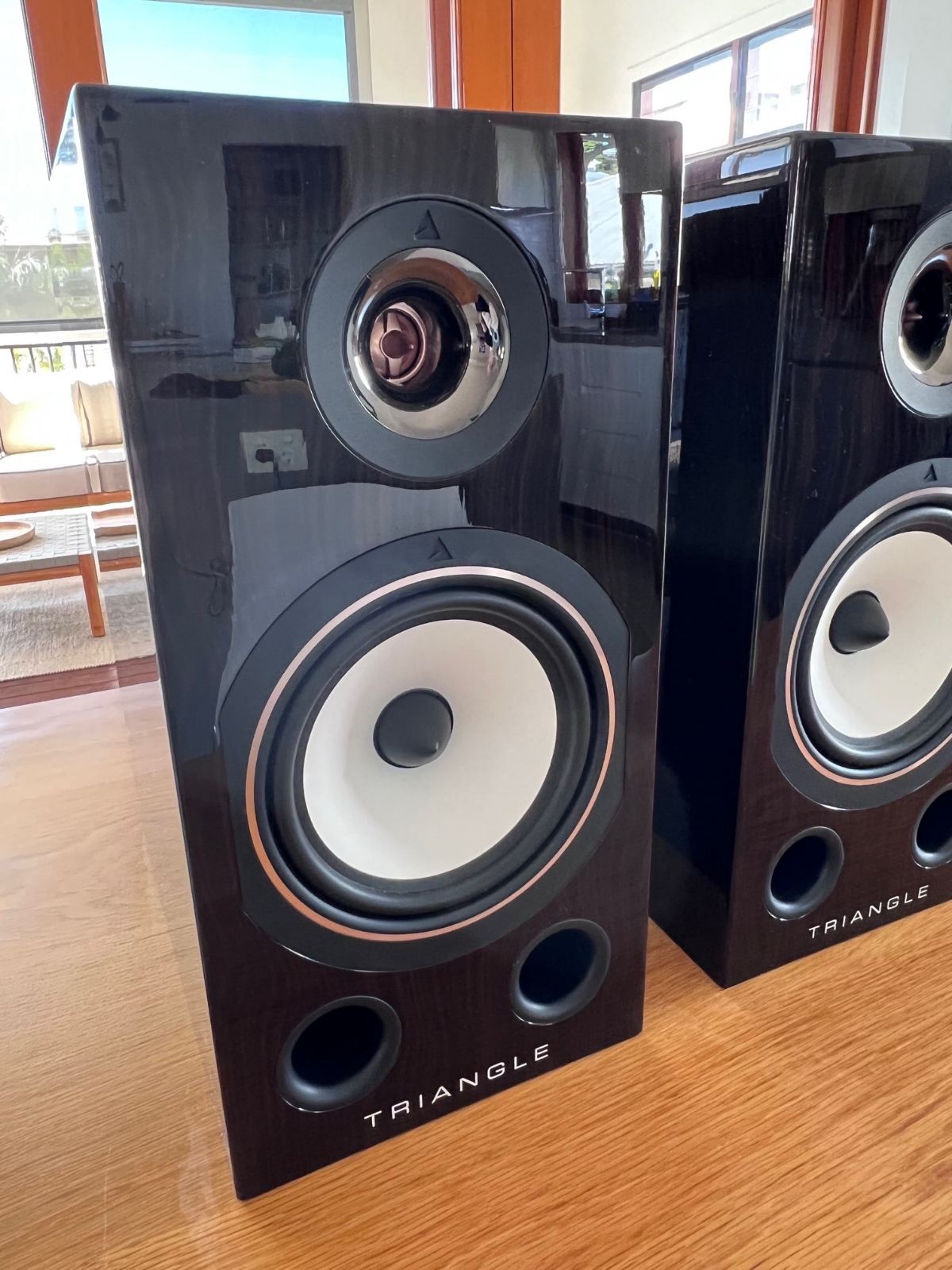 Triangle Comete 40th Anniversary Speakers in Santos Rosewood: Made in ...
