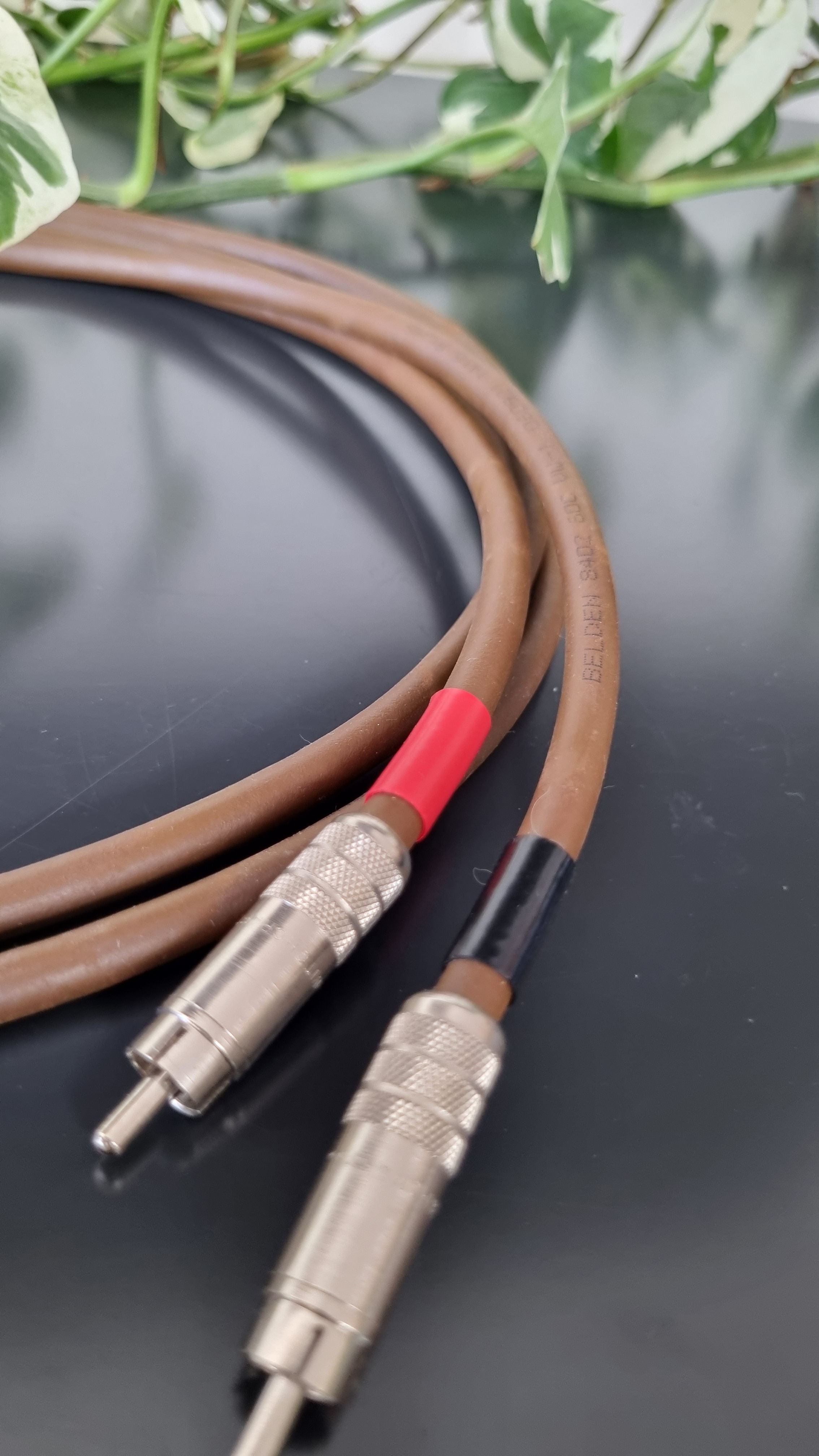 Belden 8402 RCA interconnects (1m) w/ Switchcraft plugs - Hi-Fi and ...