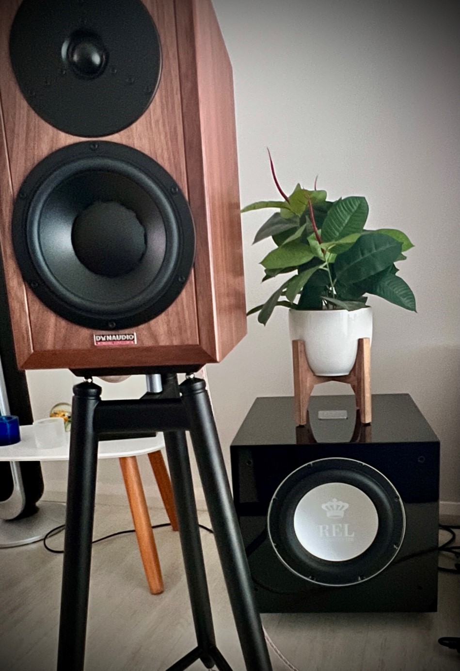 REL S510 Subwoofer - Stereo, Home Cinema, Headphones Components - StereoNET