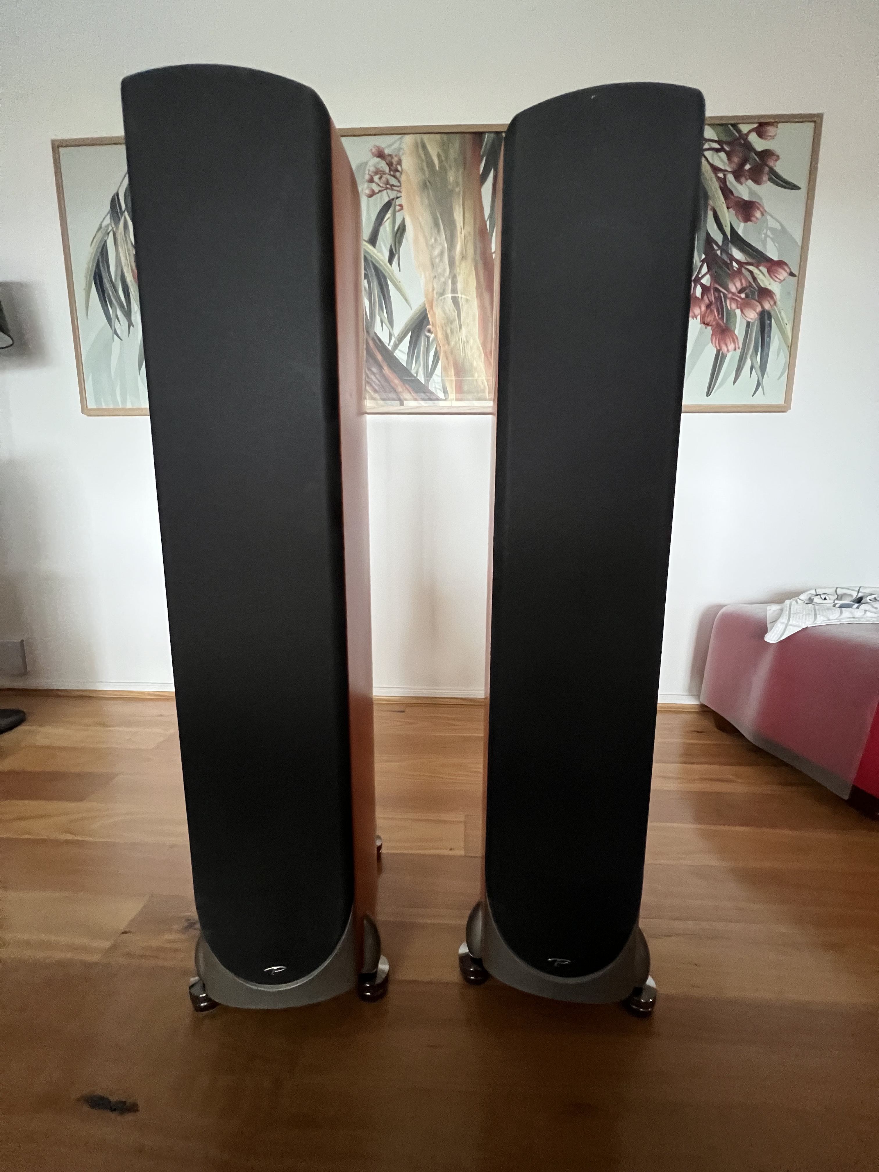 Paradigm Studio 100 V5 w Isoacoustics Gaia II - Stereo, Home Cinema ...