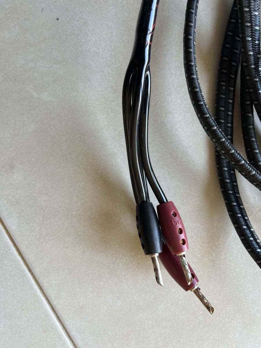 Audioquest Speaker Cable 2 x 2.3m |﻿ Hi-Fi and Cinema Cables & Accessories