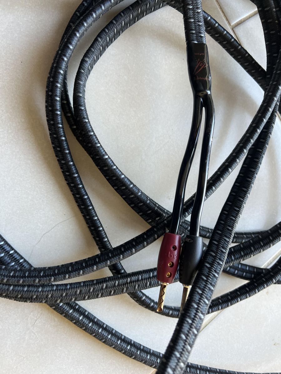 Audioquest Speaker Cable 2 x 2.3m |﻿ Hi-Fi and Cinema Cables & Accessories