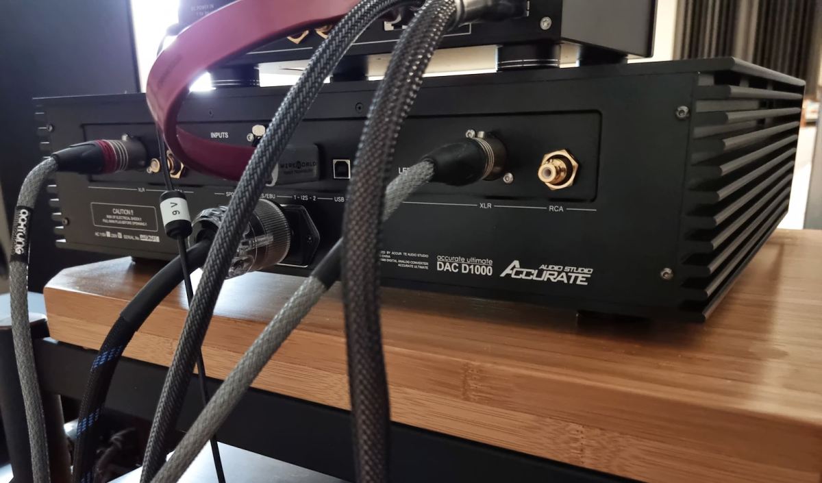 Accurate Audio Ultimate DAC-D1000 Fully discrete R2R Dac - Stereo, Home ...