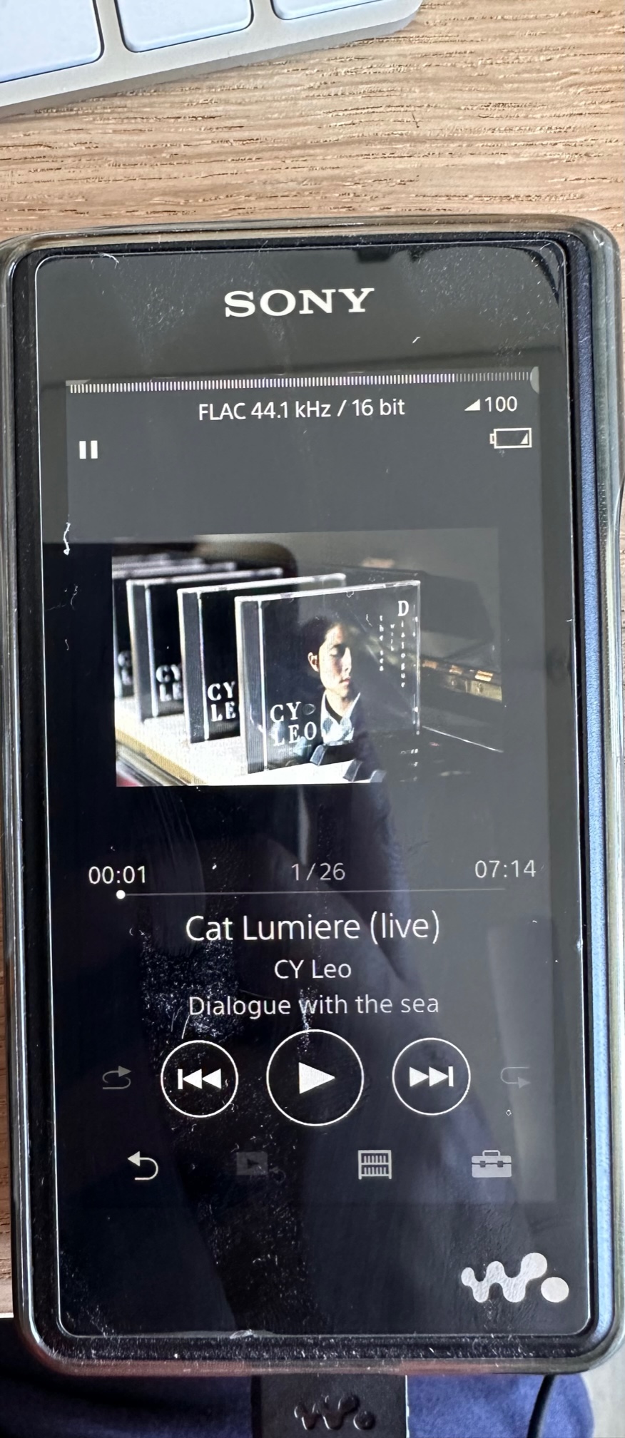 Sony WM1A DAP - Stereo, Home Cinema, Headphones Components - StereoNET