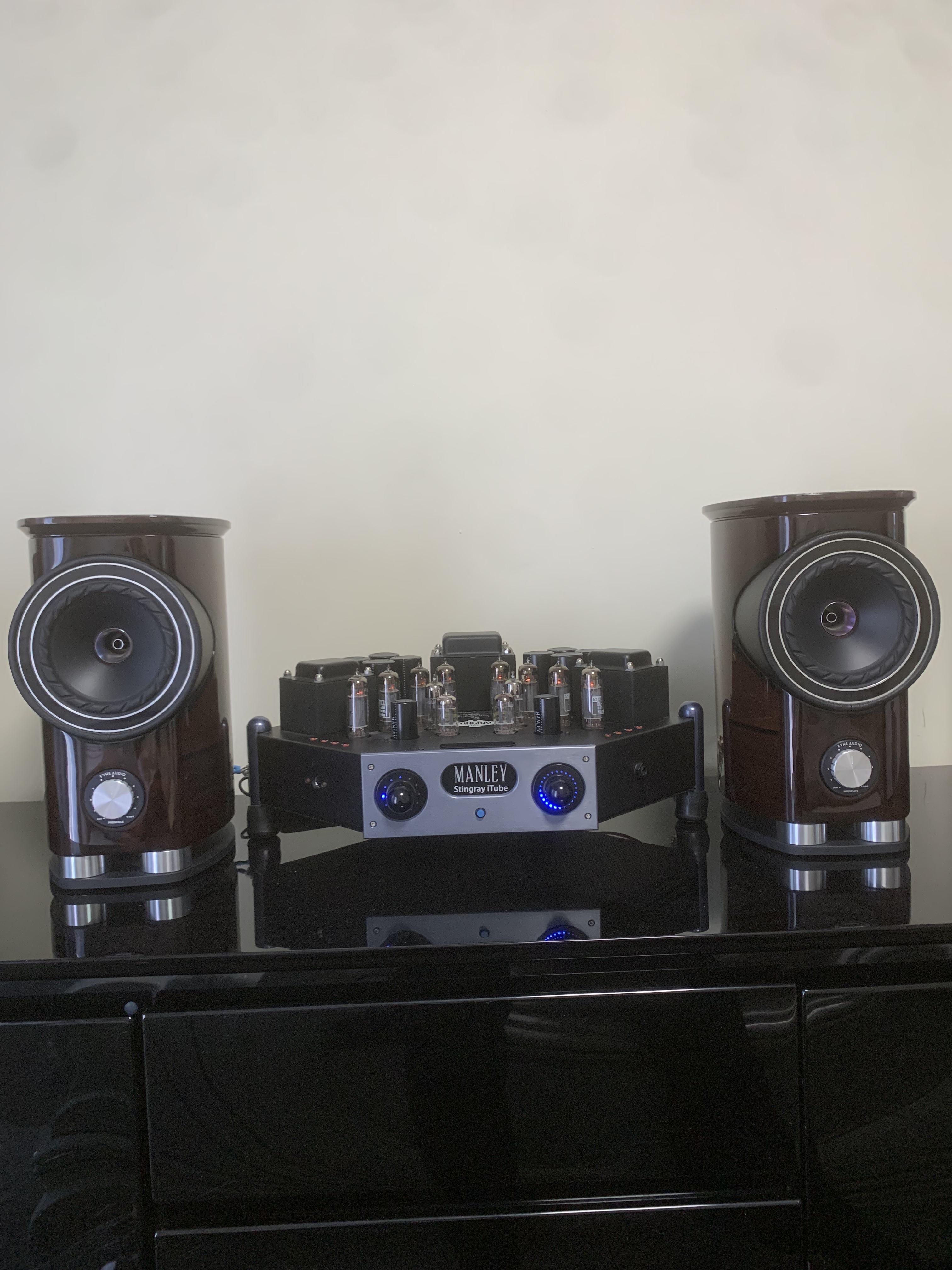 Fyne speakers and Manley integrated amplifier - Stereo, Home Cinema ...