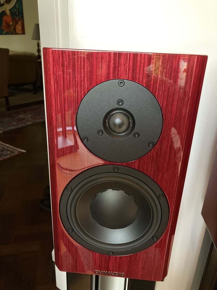 SOLD ELSEWHERE: DYNAUDIO SPECIAL 40 -RED BIRCH - Stereo, Home Cinema ...