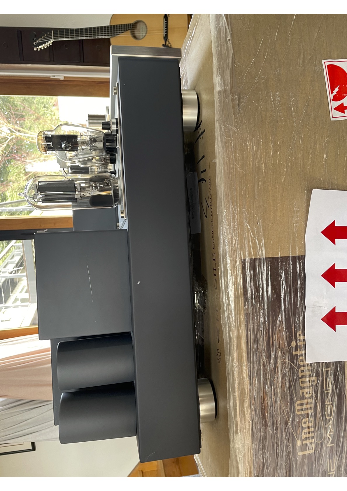 Line Magnetic LM503 PA Mono Blocks - Stereo, Home Cinema, Headphones ...