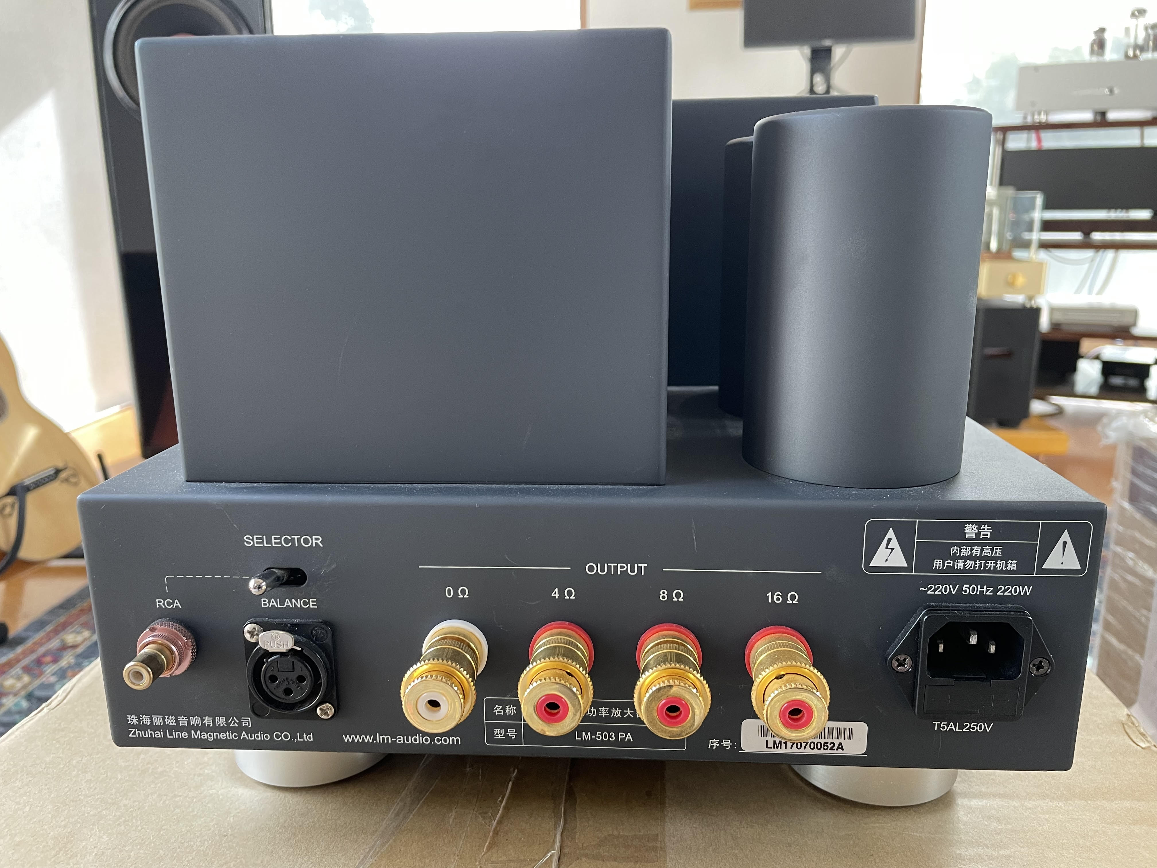 Line Magnetic LM503 PA Mono Blocks - Stereo, Home Cinema, Headphones ...