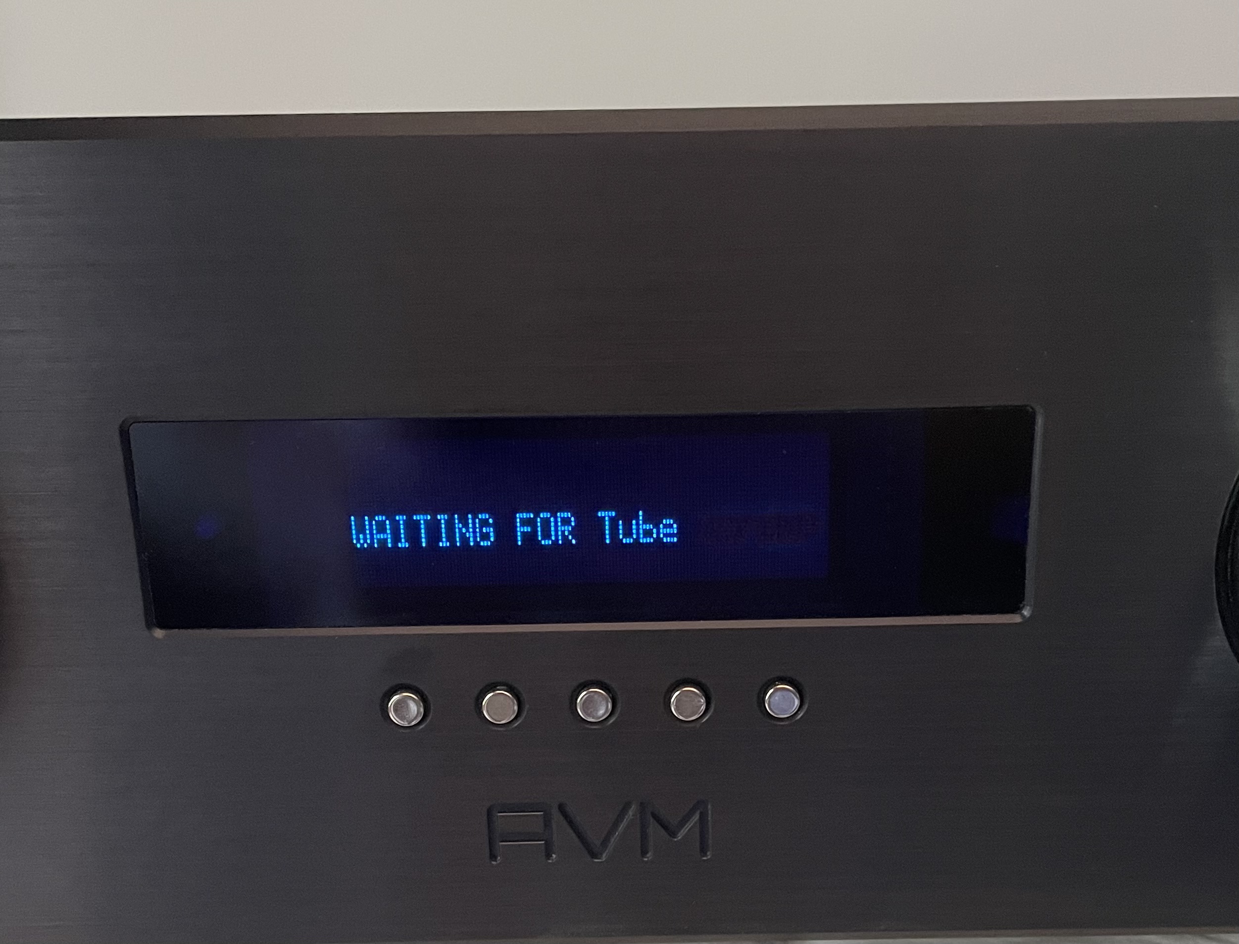 AVM P8.0 Preamplifier - Stereo, Home Cinema, Headphones Components ...
